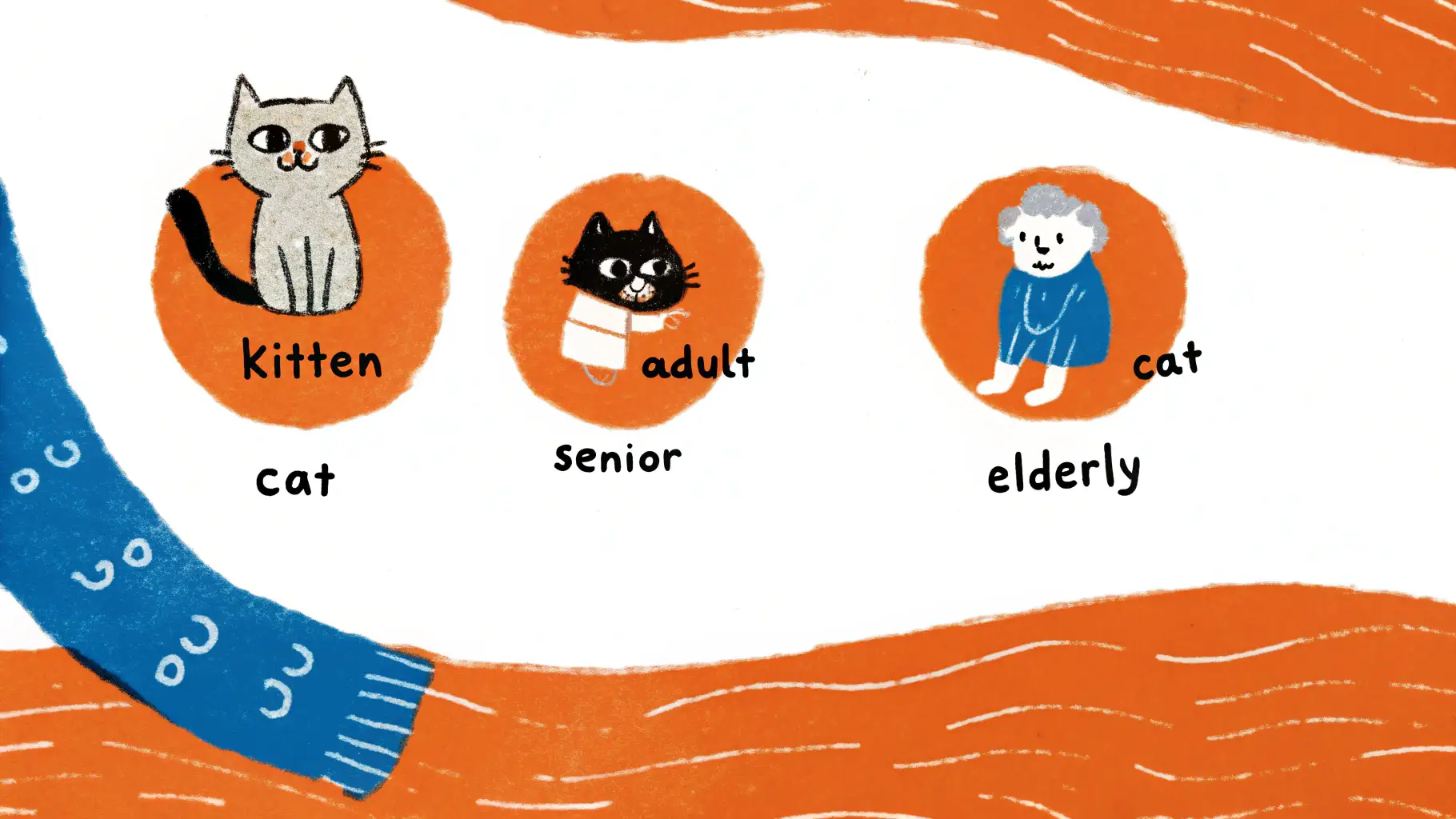 고양이 나이 계산기 - ROBERIN