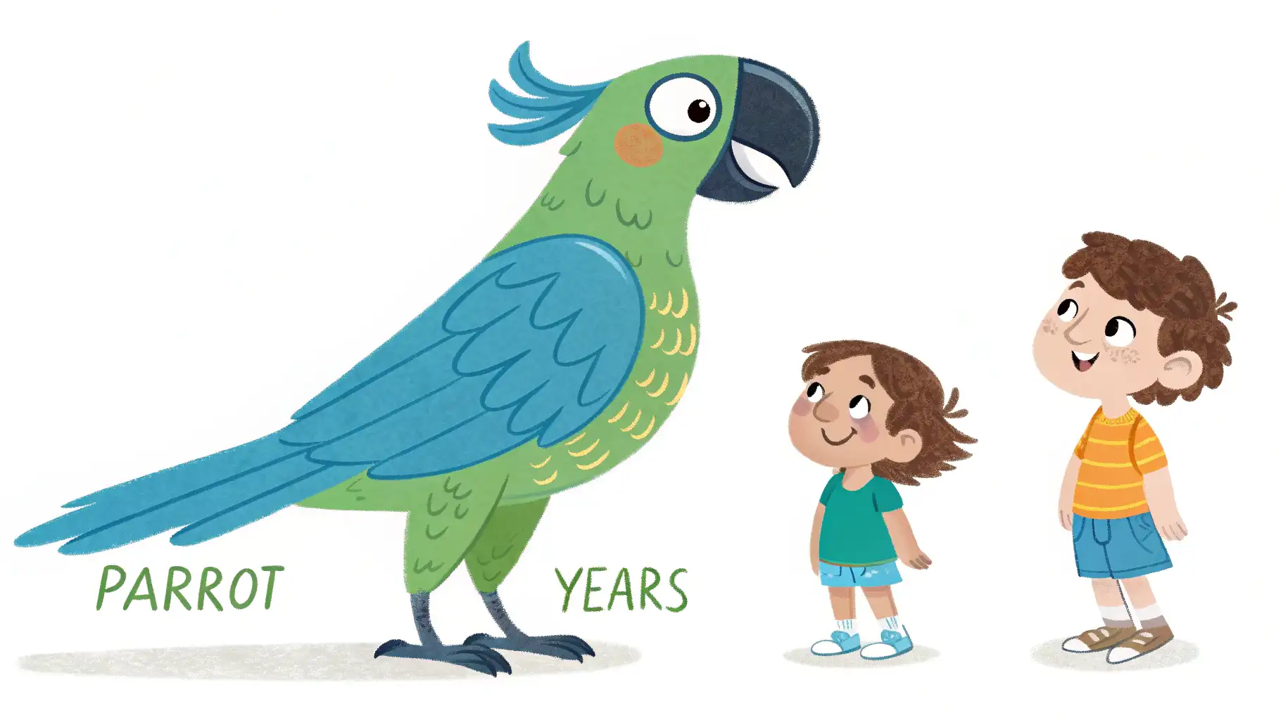 앵무새 나이 계산기 - ROBERIN